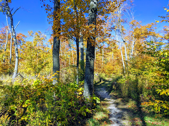 Old Baldy Loop 9
