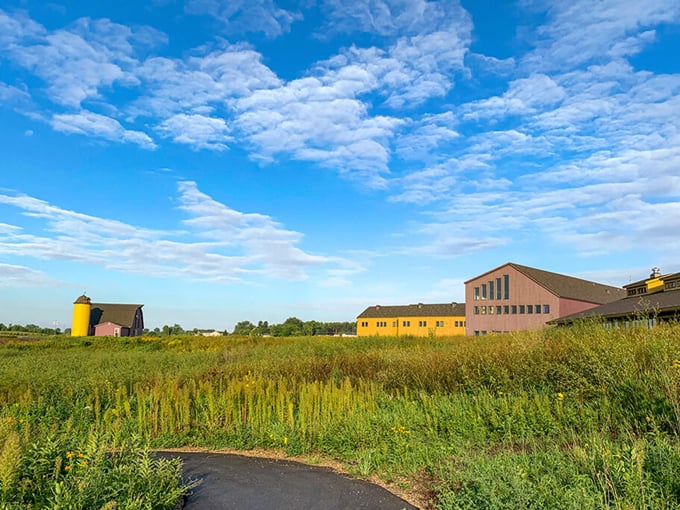 Otter Tail County 3