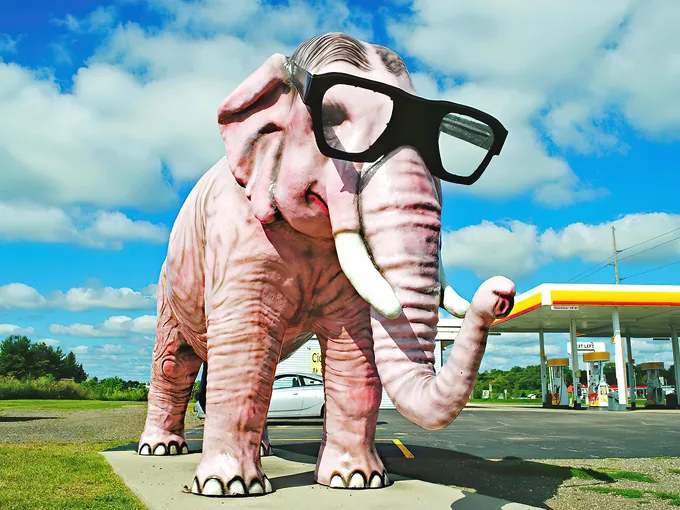 Pink Elephant (Deforest)