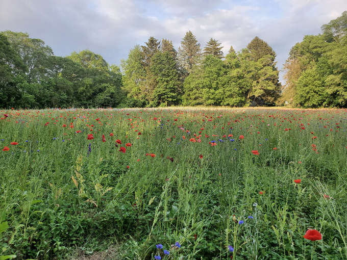 pleasant hill farm 10