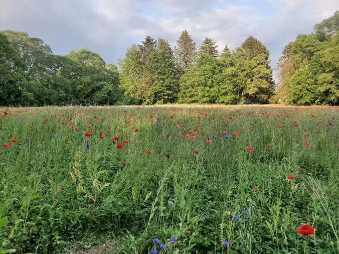 pleasant hill farm 10