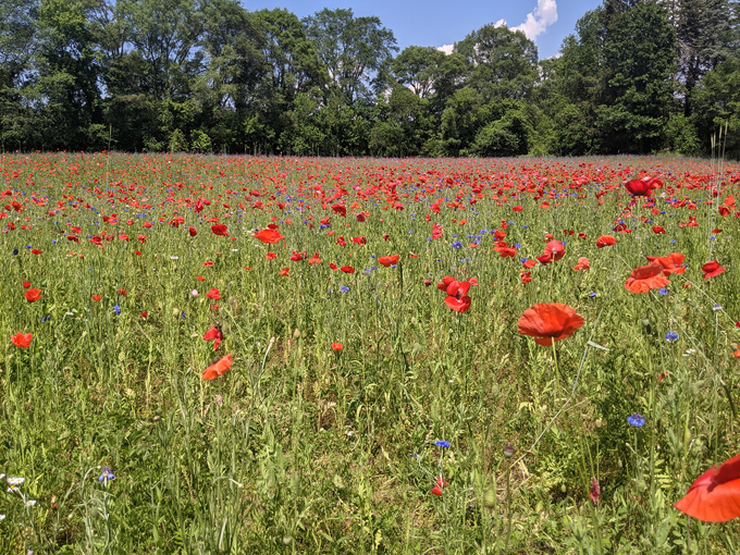 pleasant hill farm 5