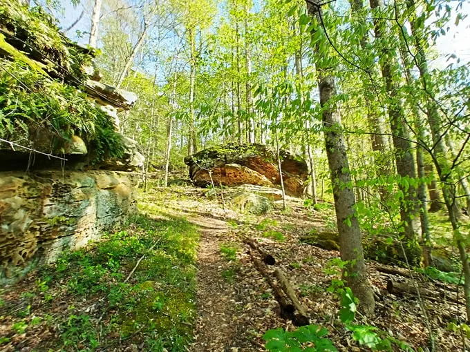 Ravenwood Castle 6