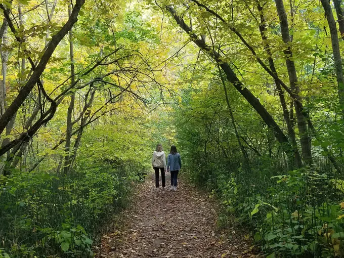 Richard T. Anderson Conservation Area Overlook Trail 1