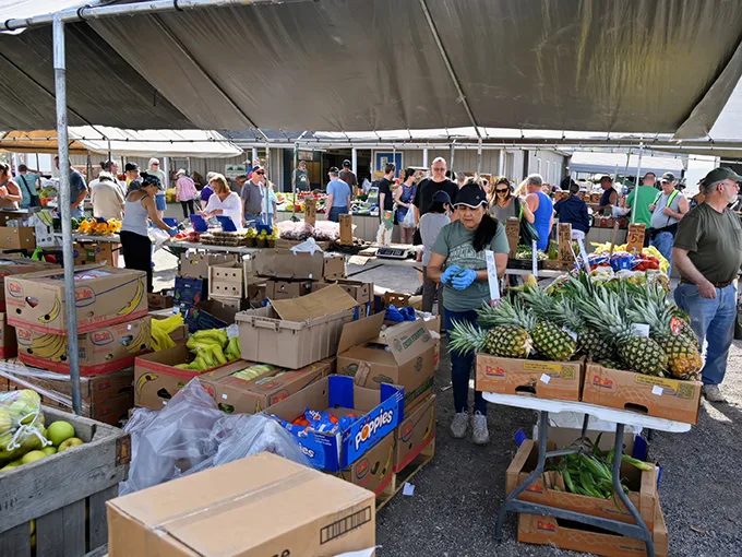 Rogers Flea Market & Auctions 9