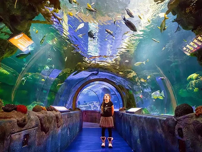 SEA LIFE 1