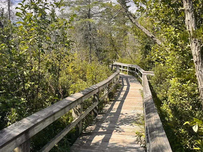 Sand Point Marsh Trail 2
