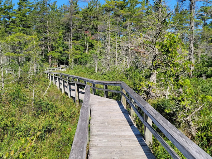 Sand Point Marsh Trail 4