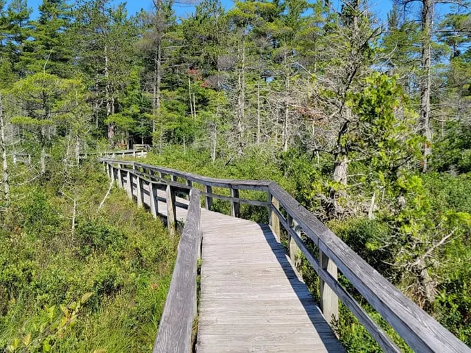 Sand Point Marsh Trail 4