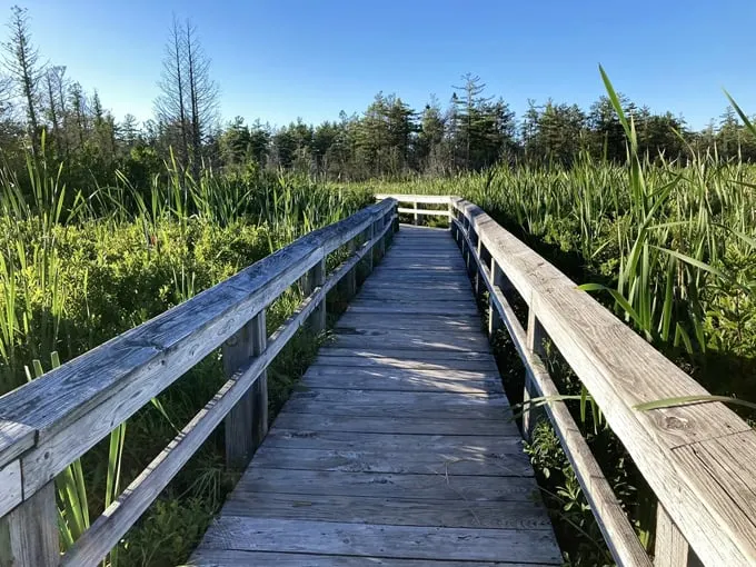 Sand Point Marsh Trail 7