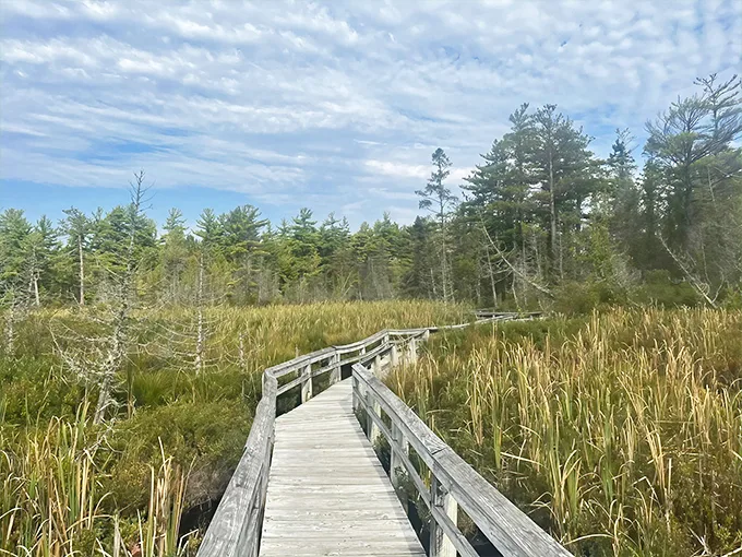 Sand Point Marsh Trail 1