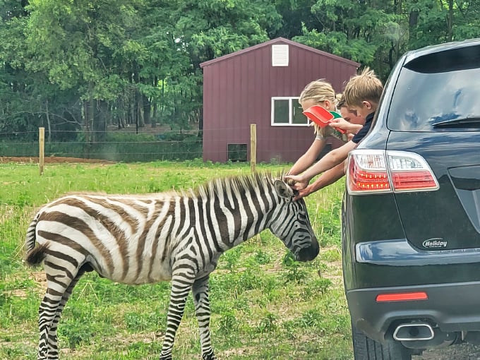 Shamba Safari 1
