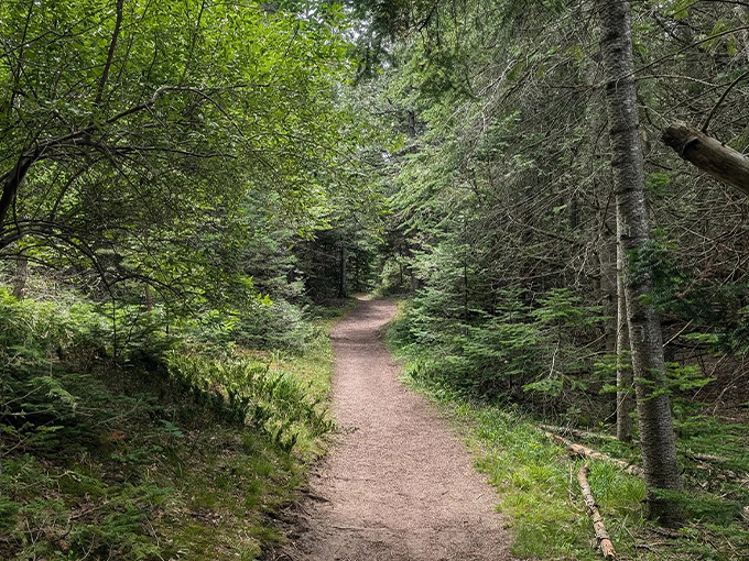Sleeping Bear Point Trail 2