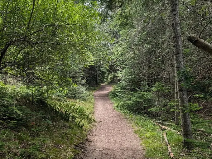 Sleeping Bear Point Trail 2