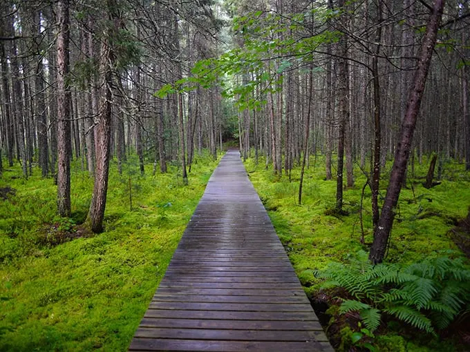 Star Lake Hiking Trail 1