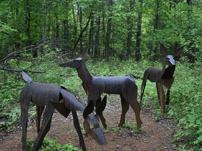 stevens point sculpture park 4