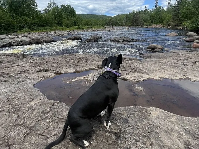 temperance river falls loop 4