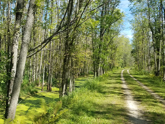The Ahnapee State Trail 6