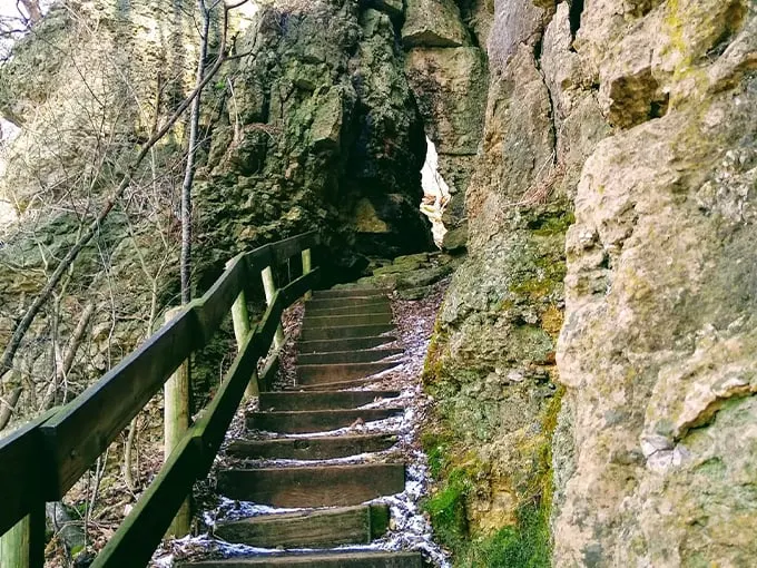The Bluff Trail in Wyalusing State Park 1