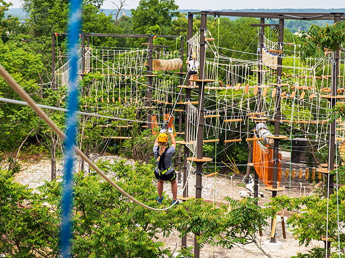The Forge Adventure Park & Ziplines 3