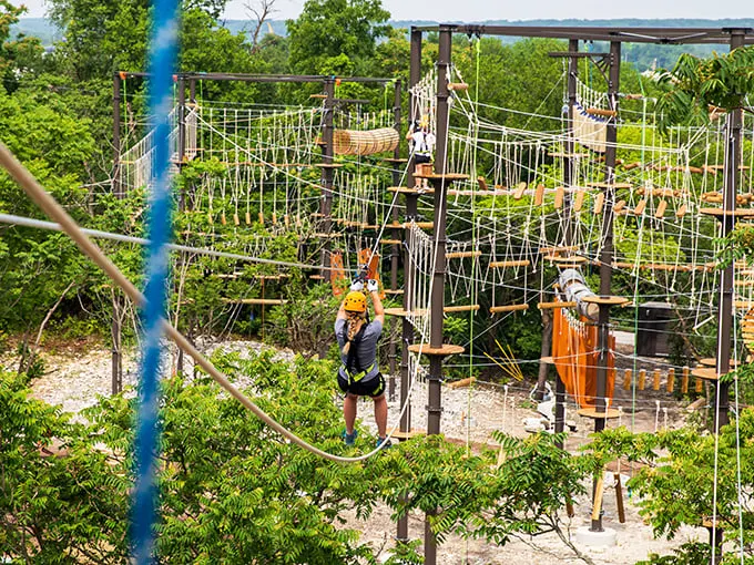 The Forge Adventure Park & Ziplines 3