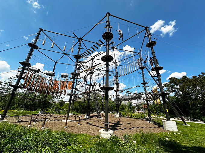 The Forge Adventure Park & Ziplines 5