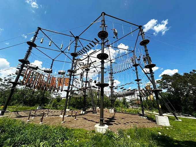 The Forge Adventure Park & Ziplines 5