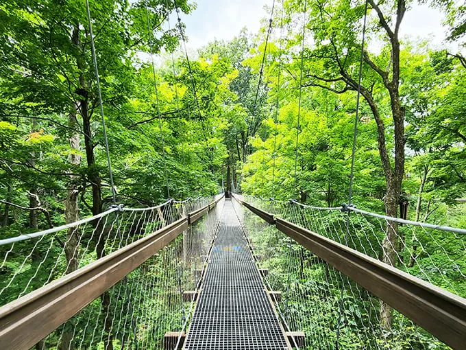 The Holden Arboretum 1