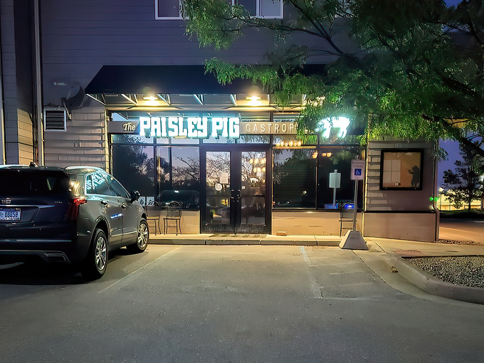 the paisley pig 1