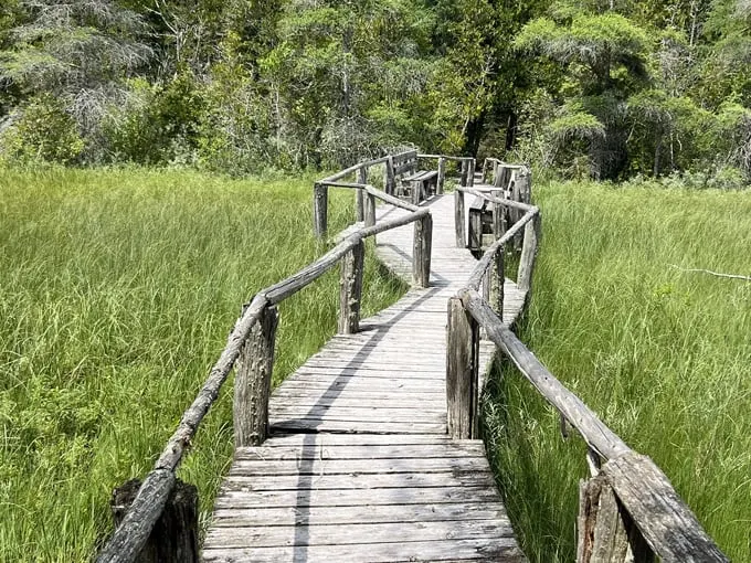 The Ridges Loop 2