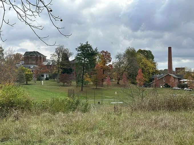 the ridges loop trail 2