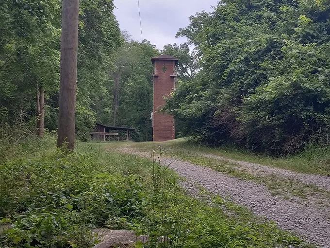 the ridges loop trail 8