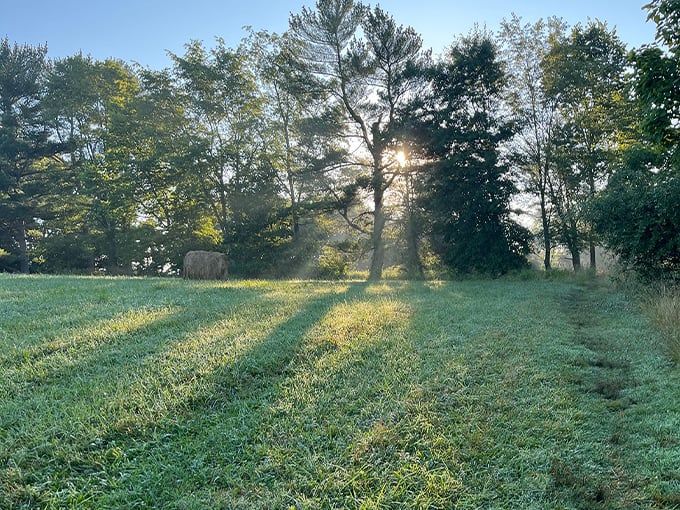 the ridges loop trail 9
