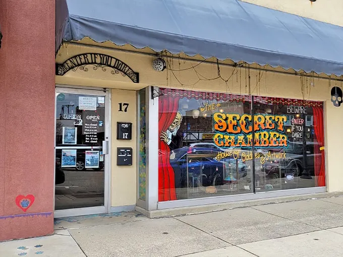 The Secret Chamber 1