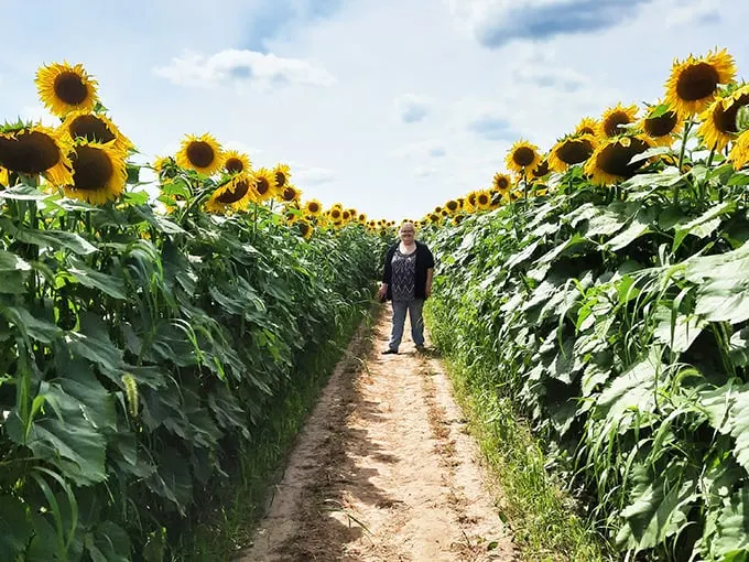 The Suns Flower 4