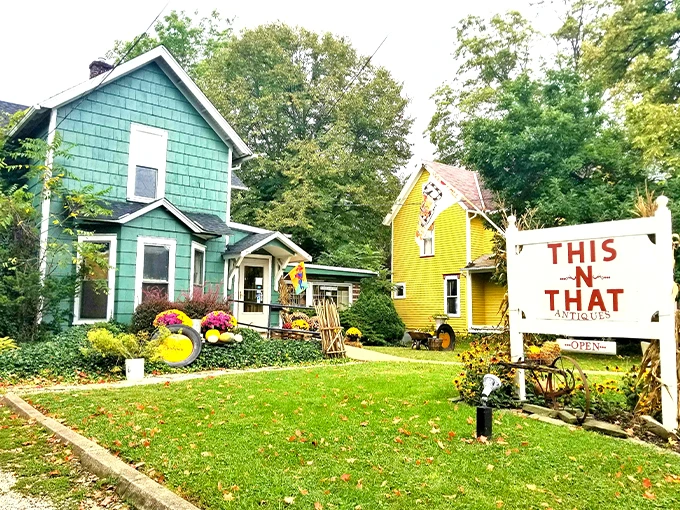 This-N-That Antiques/Collectibles 1