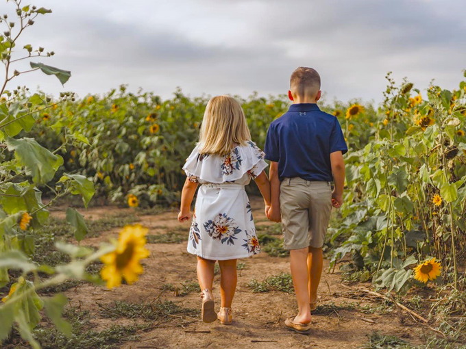 Thompson Strawberry Farm 5