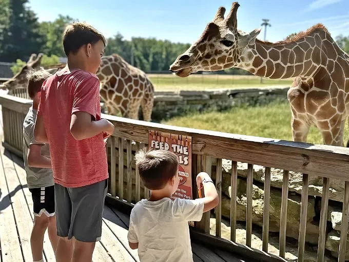 Timbavati Wildlife Park 1