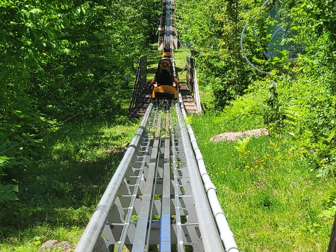 timber twister alpine coaster 3