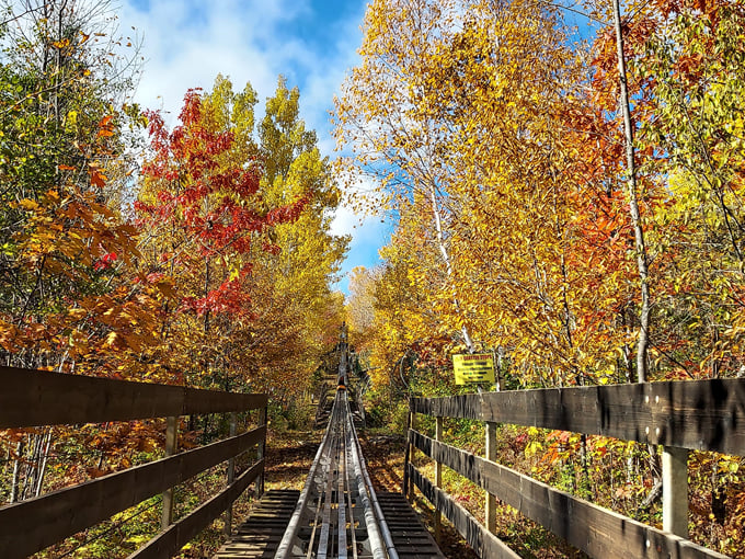 timber twister alpine coaster 8