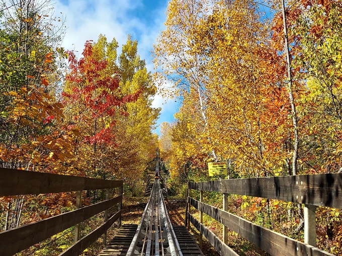 timber twister alpine coaster 8