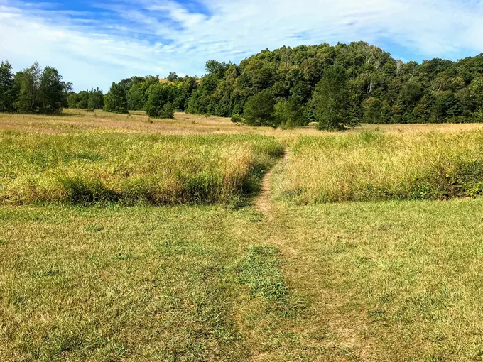 Treat Farm Trail 4