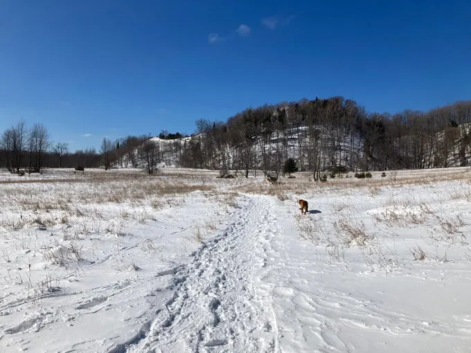 Treat Farm Trail 8