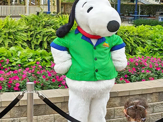 Valleyfair 5