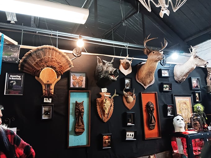 Voodoo's World of Oddtiques 2