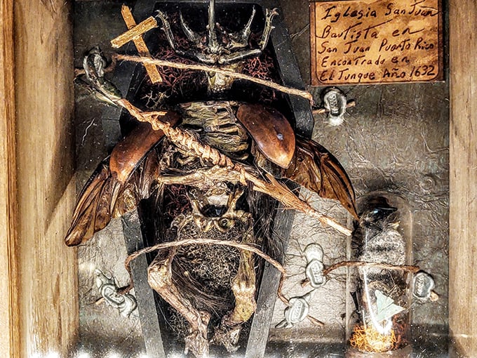 Voodoo's World of Oddtiques 3