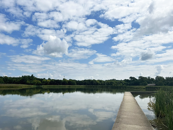 Watershed Pond Loop 6