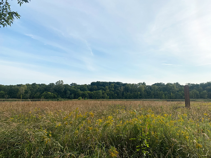 Watershed Pond Loop 7