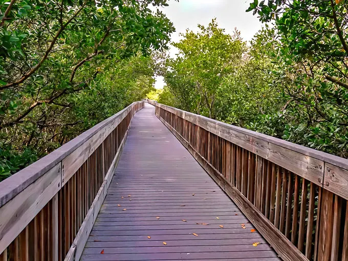 Weedon Island Preserve Trail 1