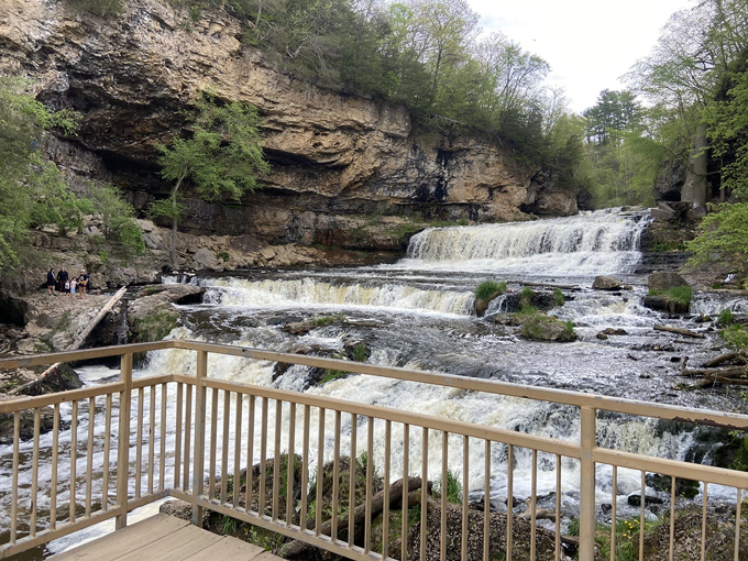 Willow Falls 3